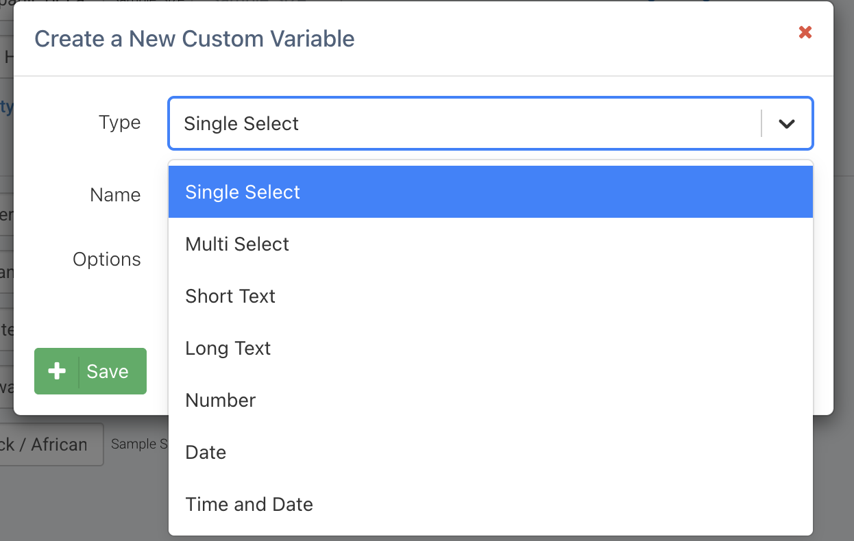Types of Custom Variables